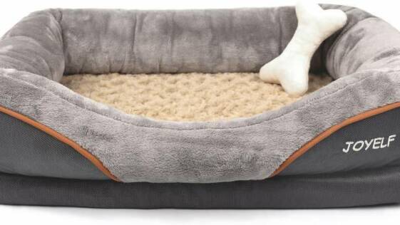 UK Dog News - Latest News from the world of dogs - Dogly